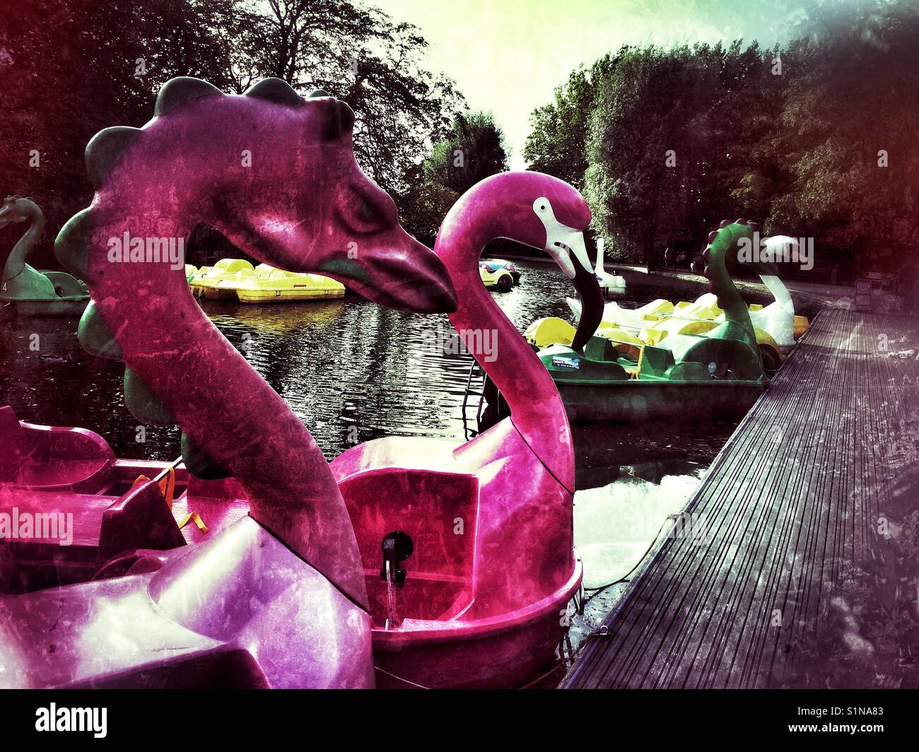 Sinister animal hi-res stock photography and images - Alamy