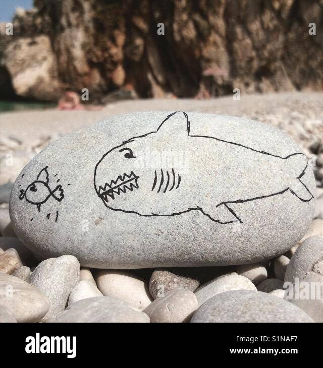 Pebble stone with shark and small fish painting on it Stock Photo - Alamy