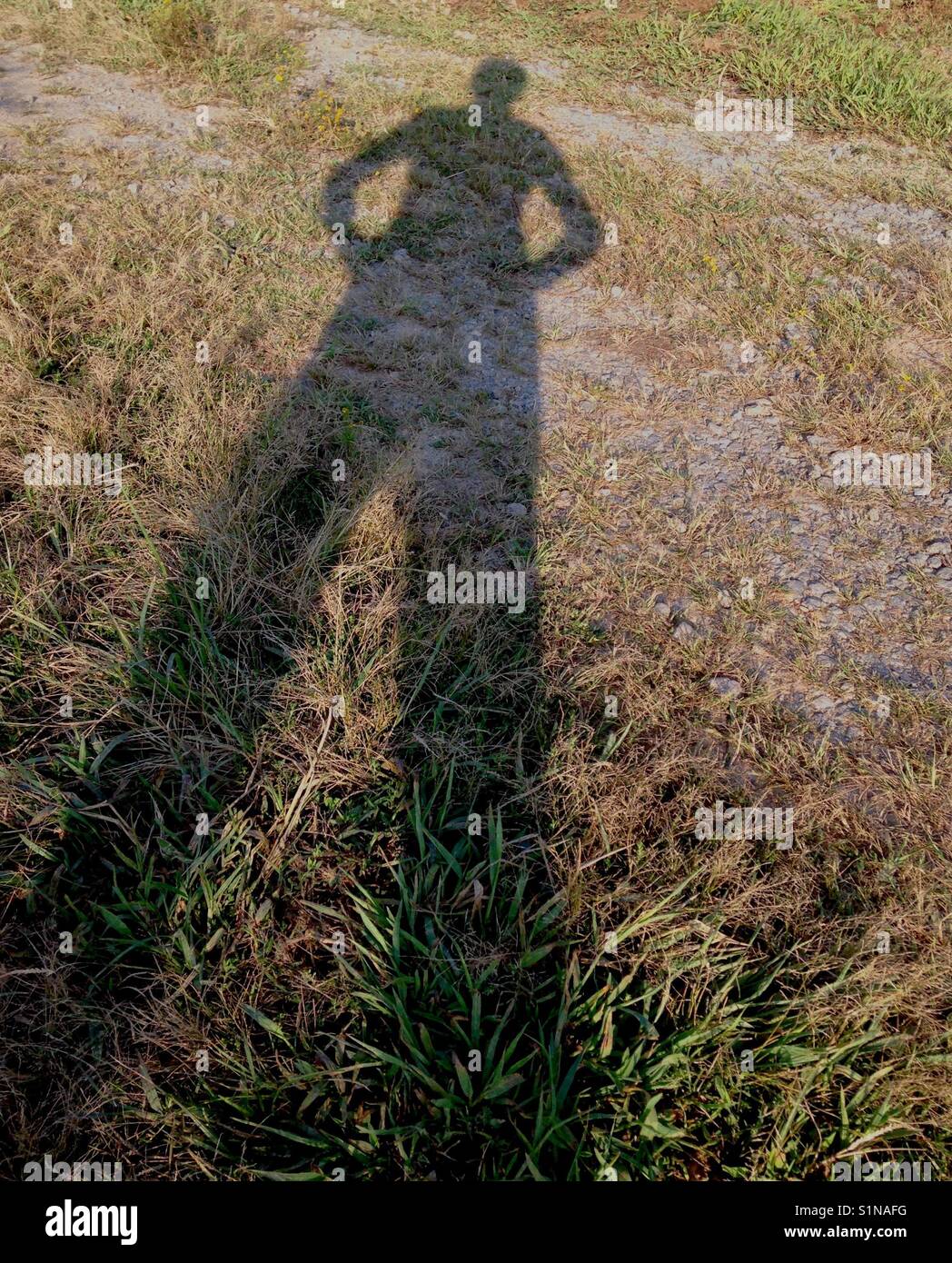 Shadow of woman in farm field- North Carolina Stock Photo - Alamy