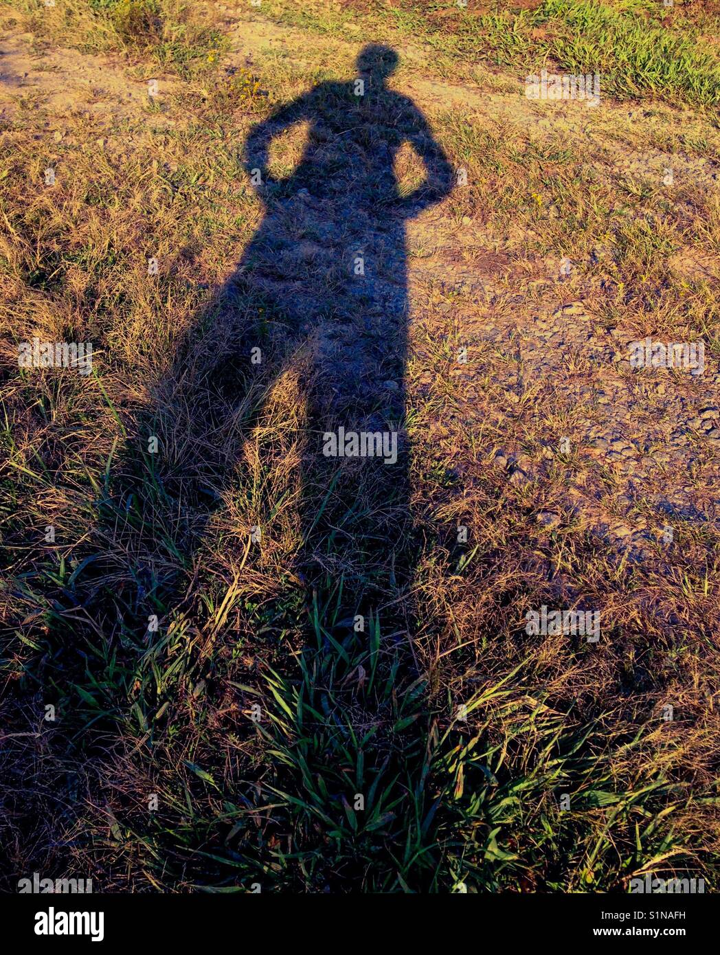 Shadow of woman hi-res stock photography and images - Alamy
