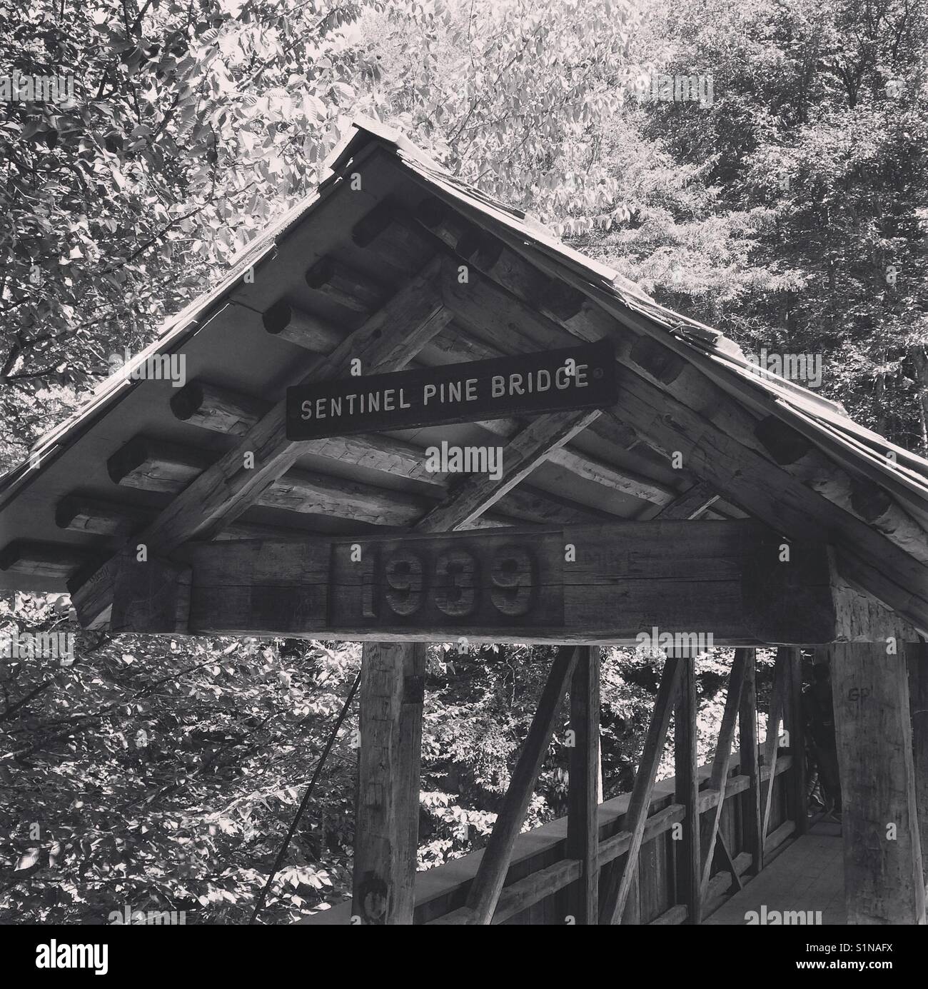 Sentinel Pine Bridge, Franconia Notch State Park, White Mountains, New ...