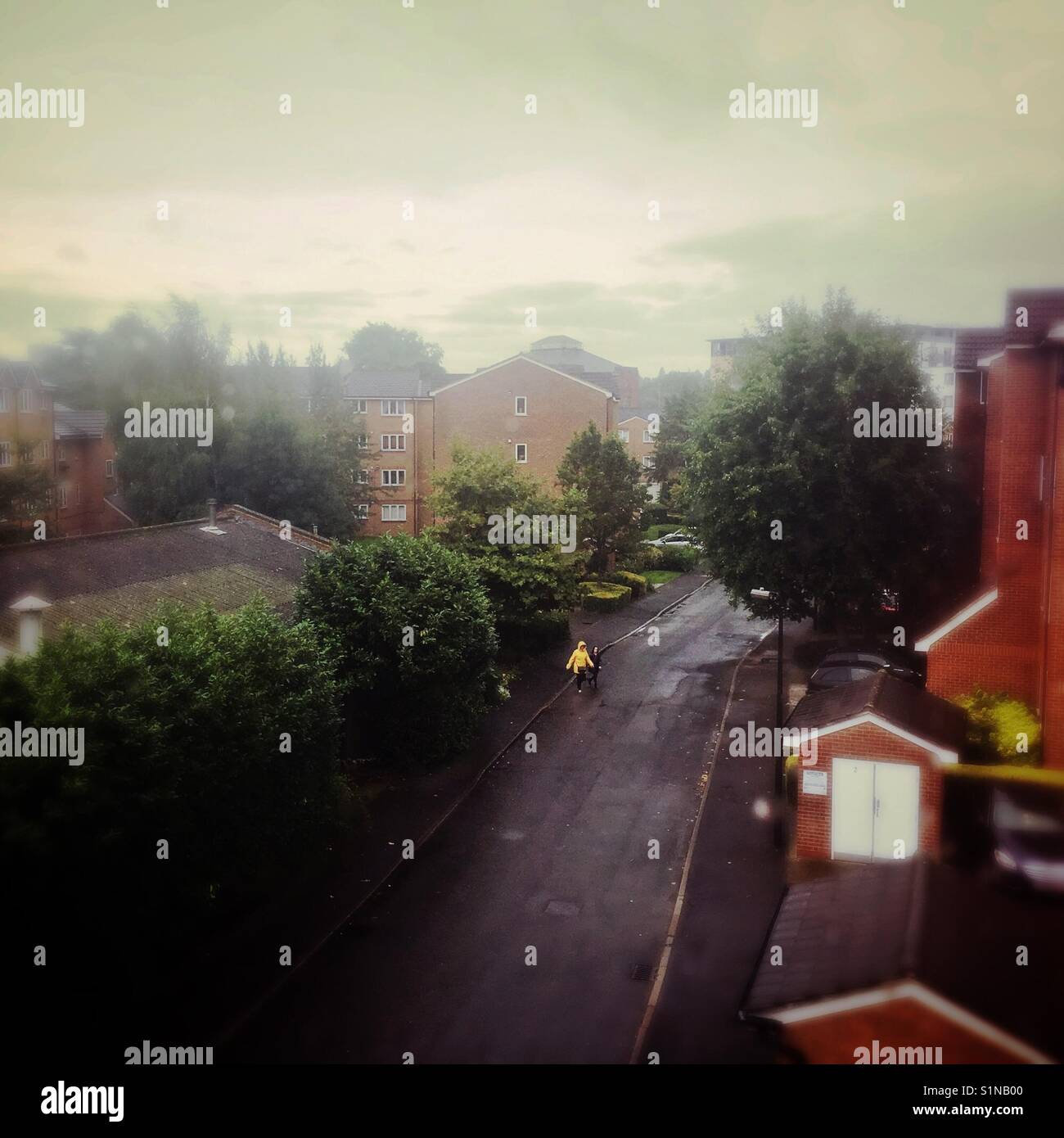 View from window of a London street in the rain Stock Photo - Alamy