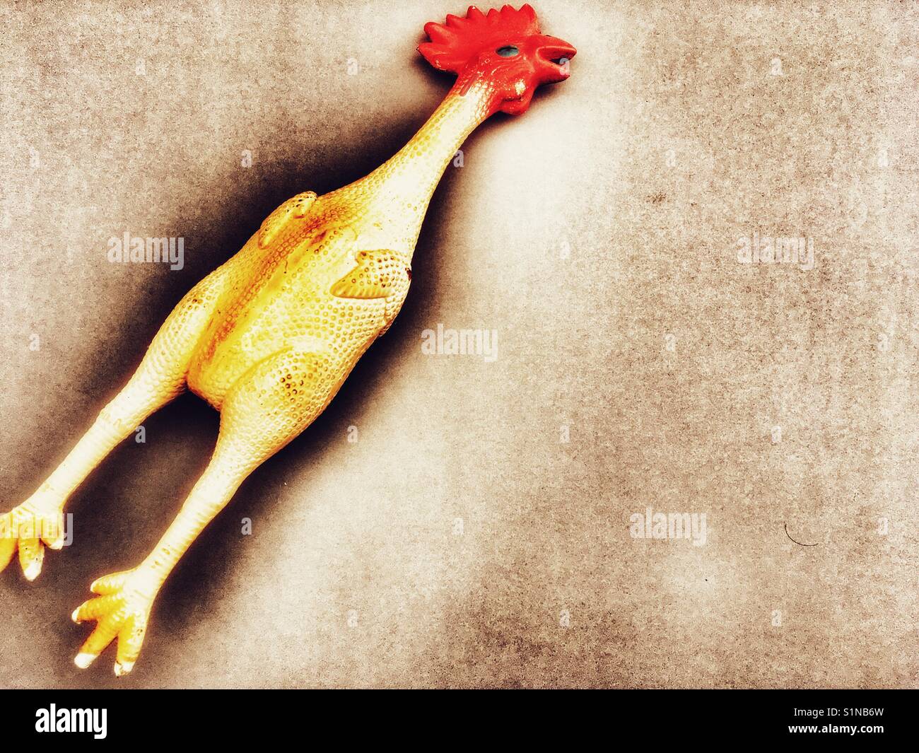 Rubber chicken hi-res stock photography and images - Alamy