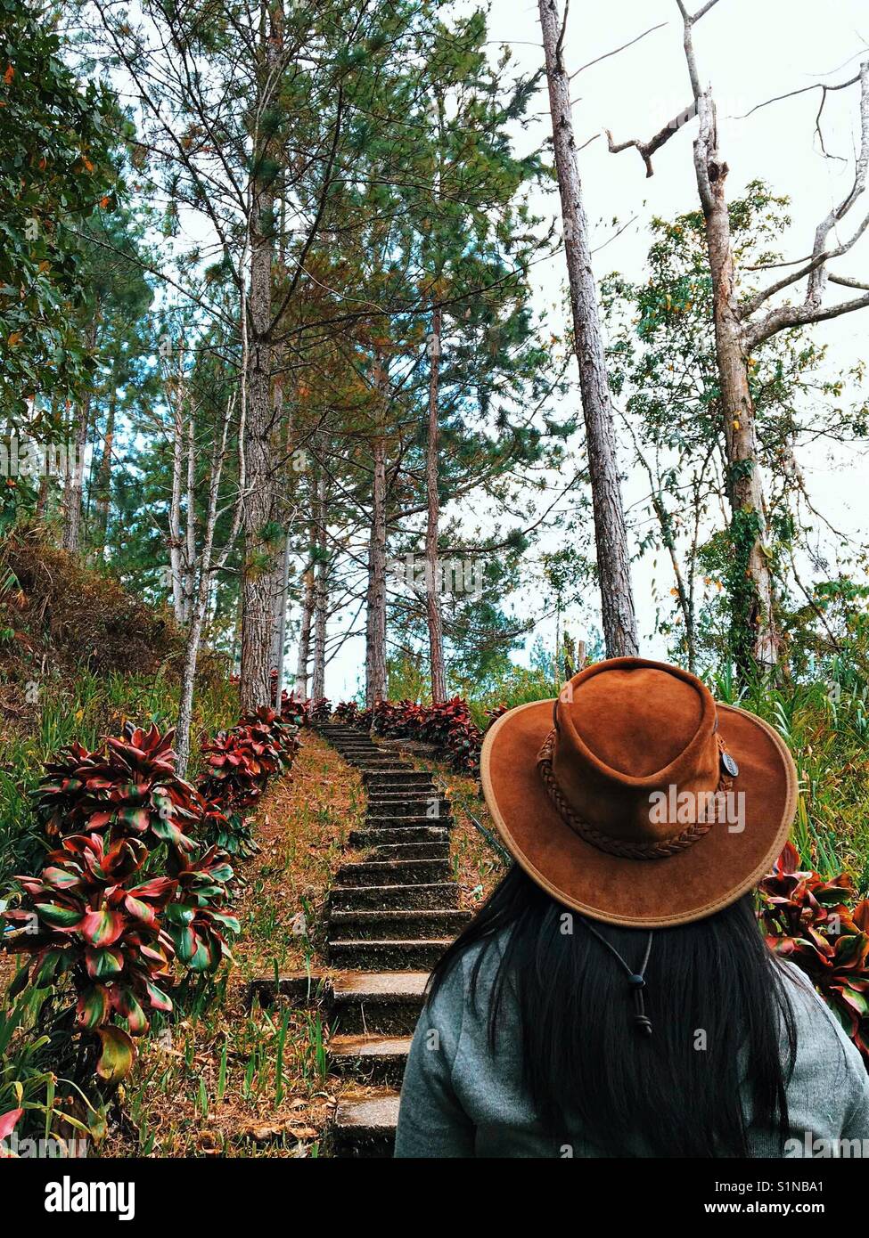 Lead to nowhere hi-res stock photography and images - Alamy