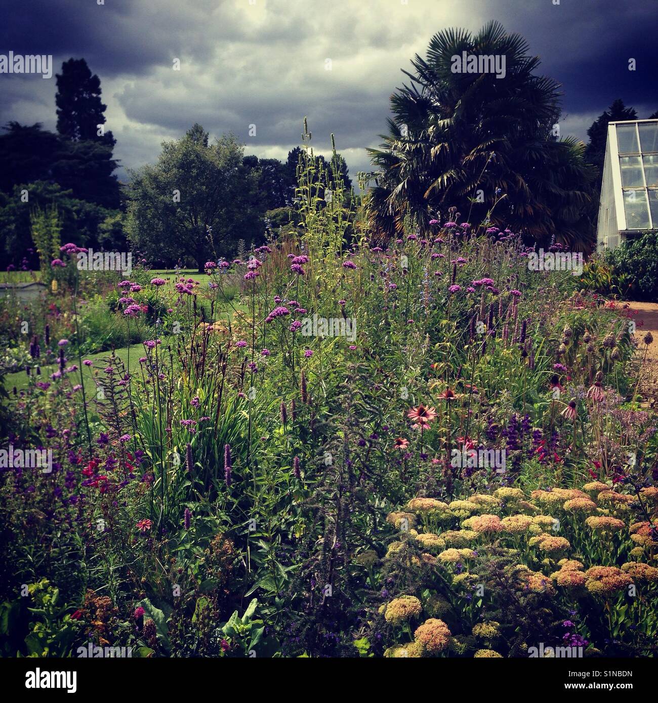 Cambridge university botanical gardens hi-res stock photography and ...