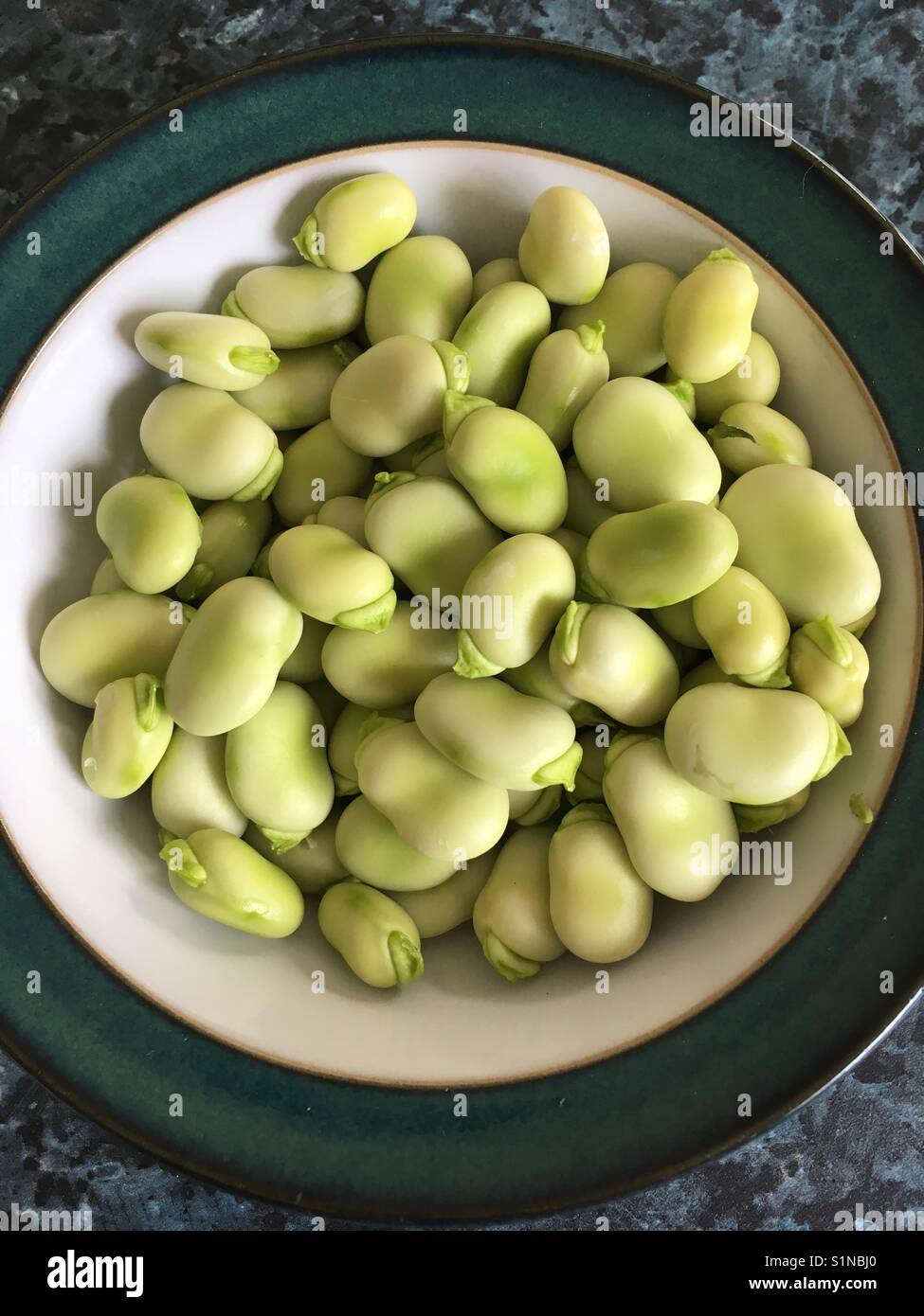 Grow your own beans hi-res stock photography and images - Alamy