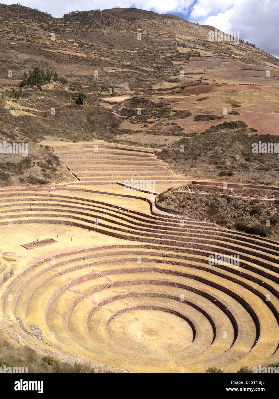 Ancient Inca Agriculture