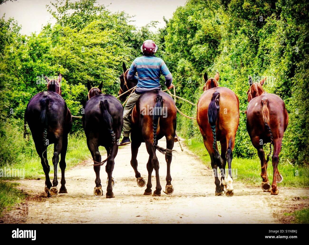 Chukkas chukka hi-res stock photography and images - Alamy