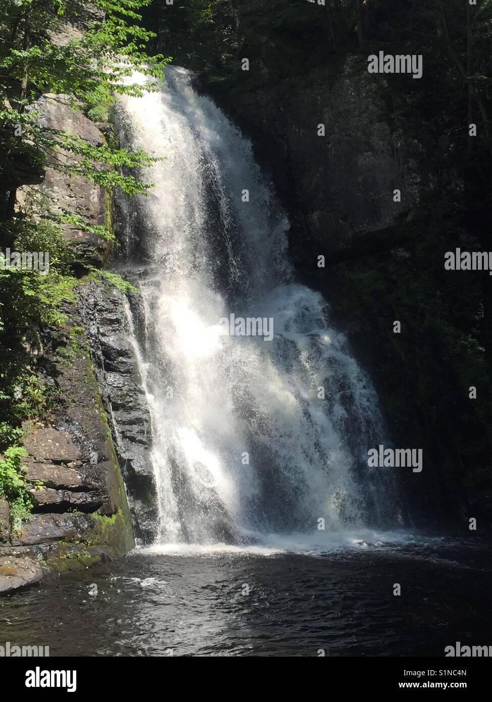 Greens and water hi-res stock photography and images - Alamy