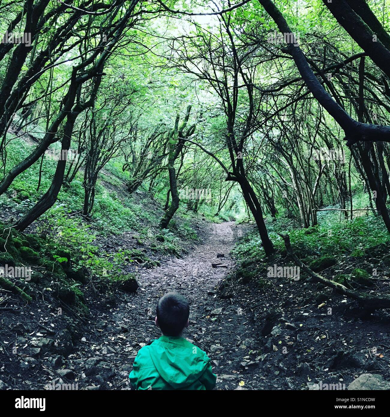 Child forest hi-res stock photography and images - Alamy