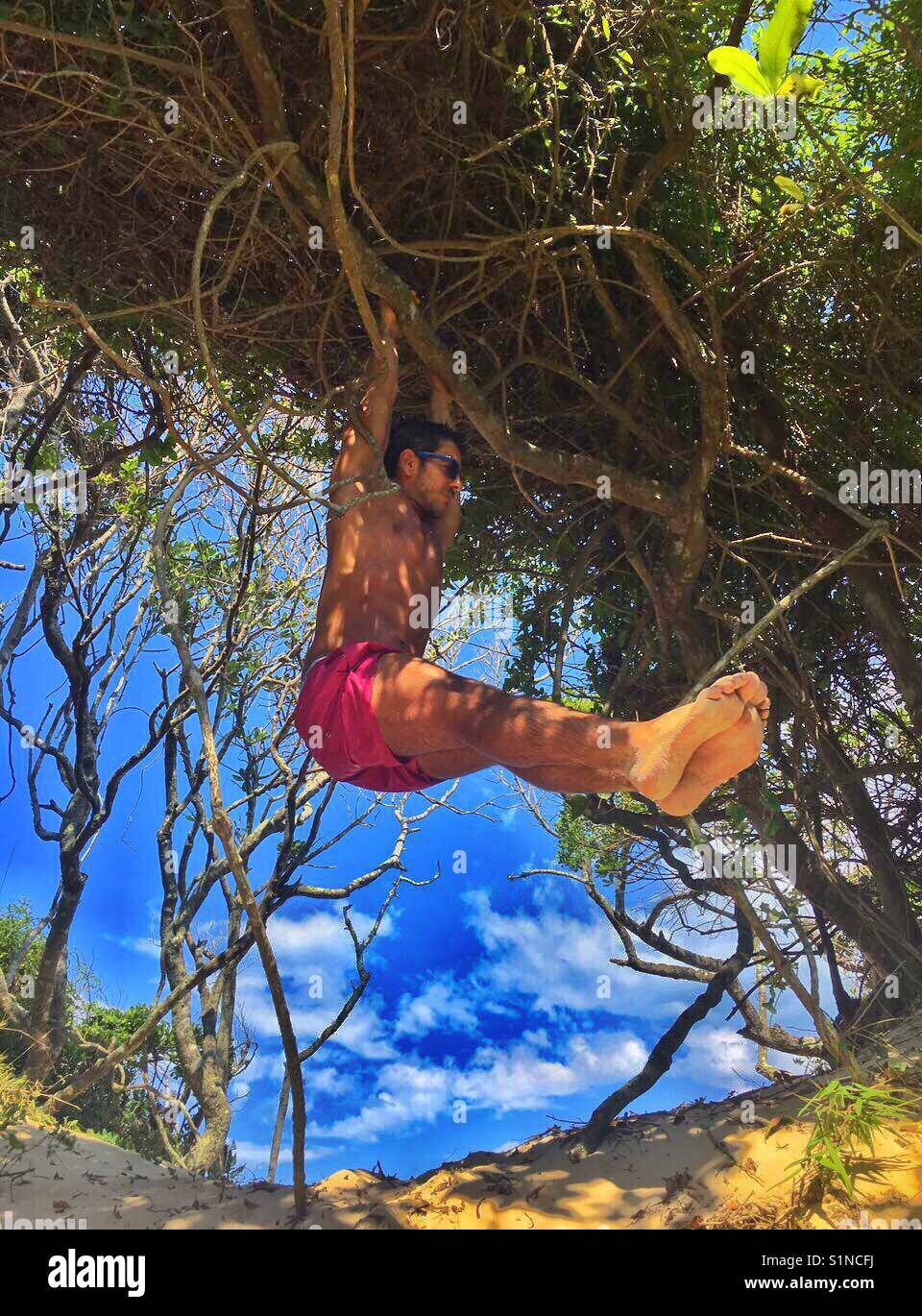 Hanging from a tree Stock Photo - Alamy
