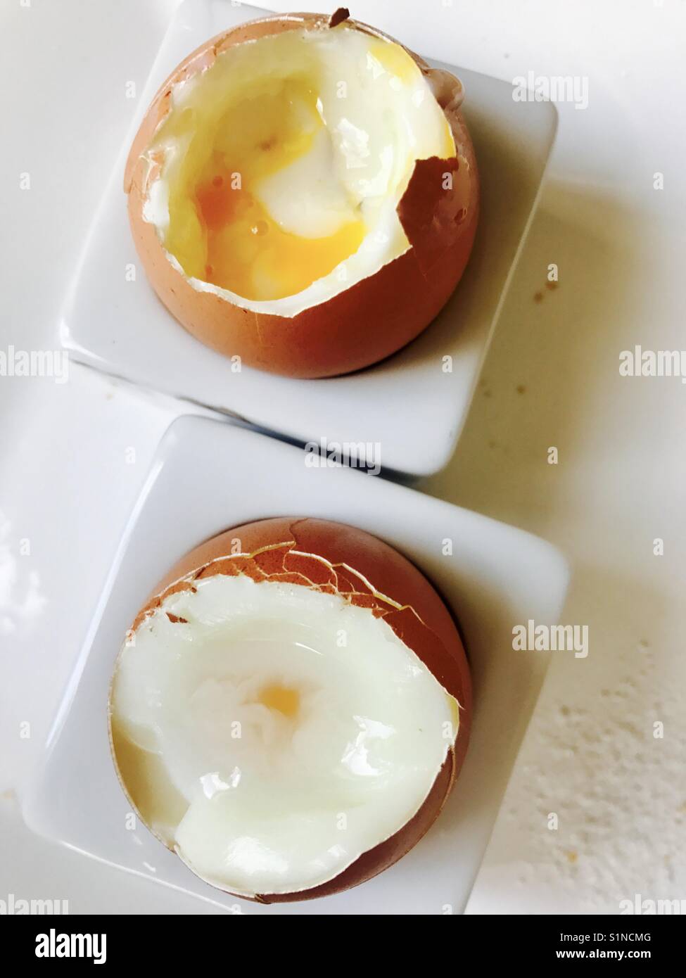 Hen square egg hi-res stock photography and images - Alamy