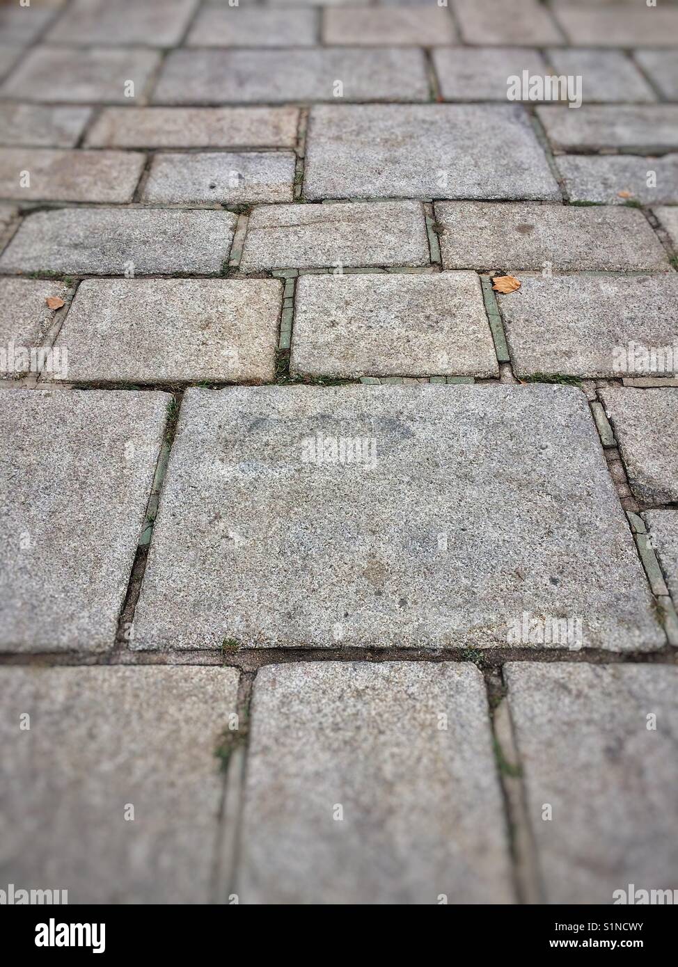 Paved quadrangle hi-res stock photography and images - Alamy
