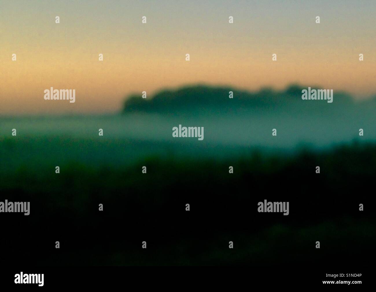 Hazy late summer dawn in North Carolina with treeline Stock Photo - Alamy