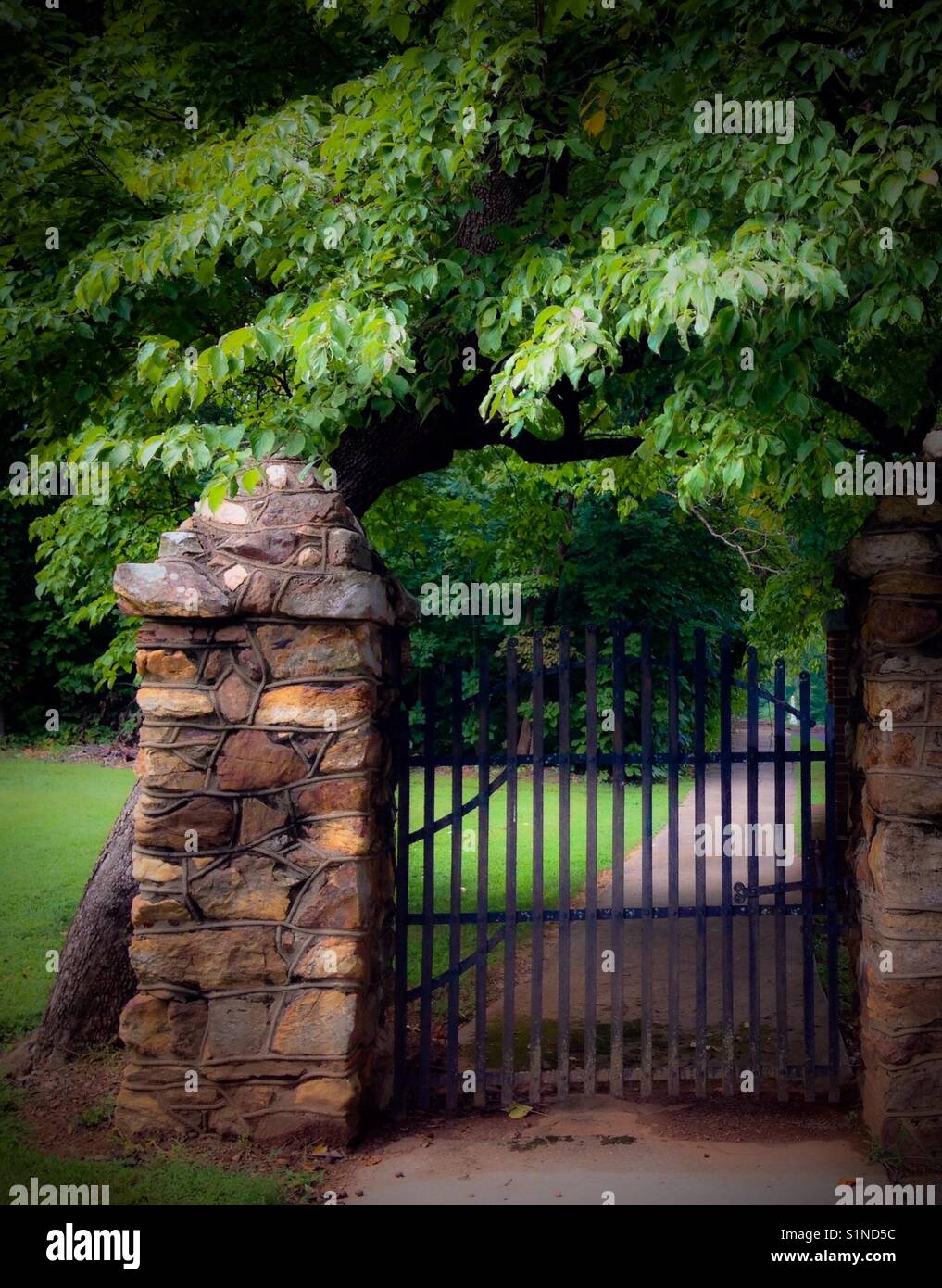 Arched tree limb, stone columns, and wrought iron gate welcome guests ...