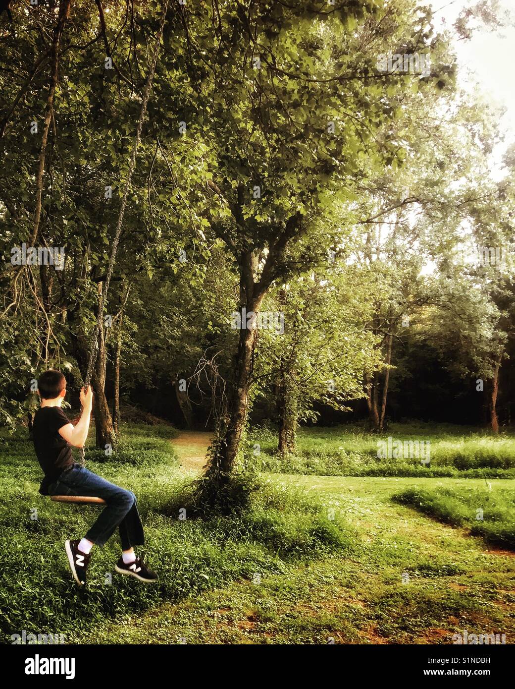 Swing trees hi-res stock photography and images - Alamy