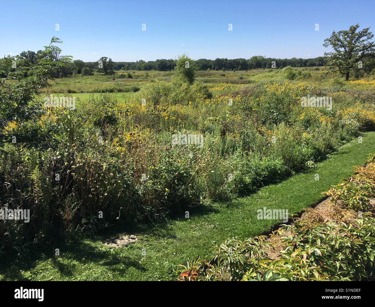 Midwest flowers hi-res stock photography and images - Alamy
