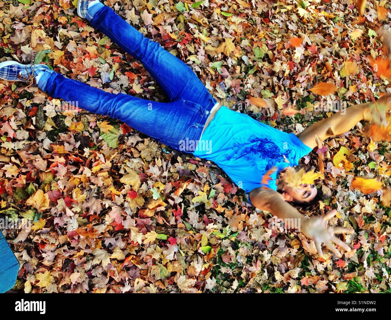 Falling leaves in autumn hi-res stock photography and images - Alamy
