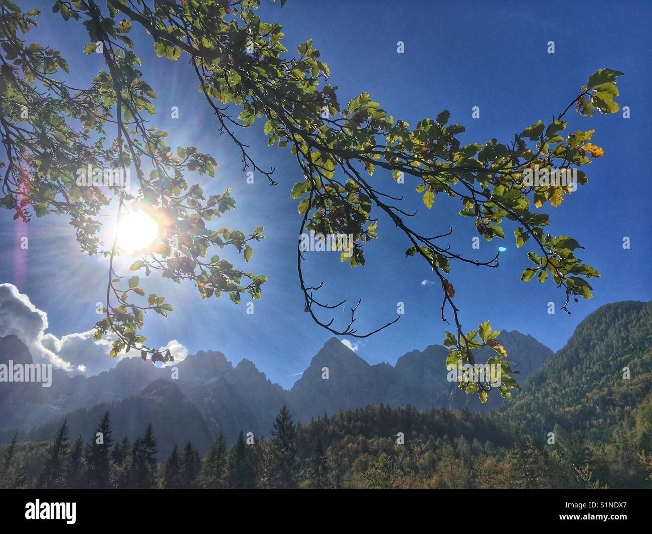 Summer sun rays hi-res stock photography and images - Alamy