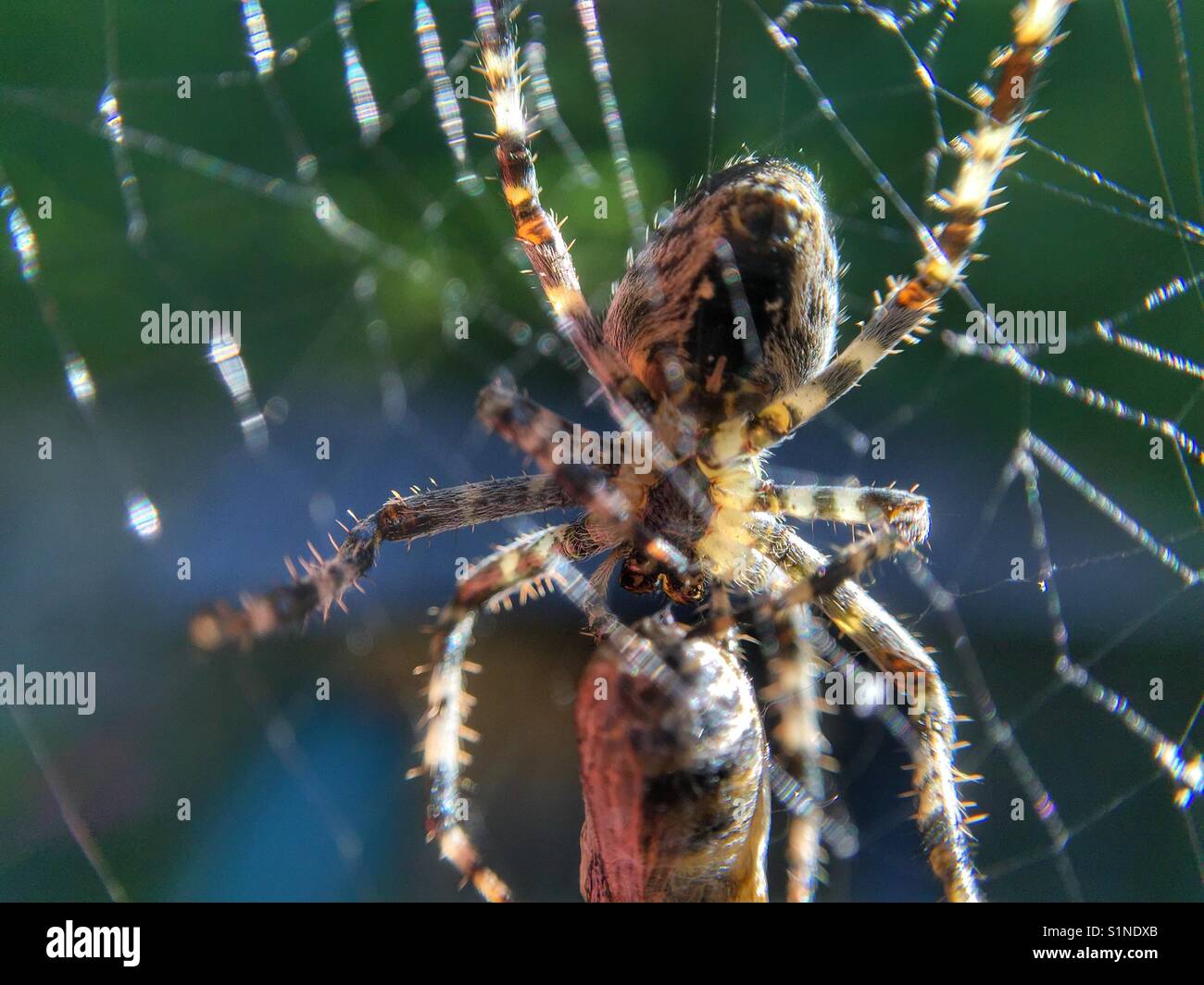 Making web hi-res stock photography and images - Alamy