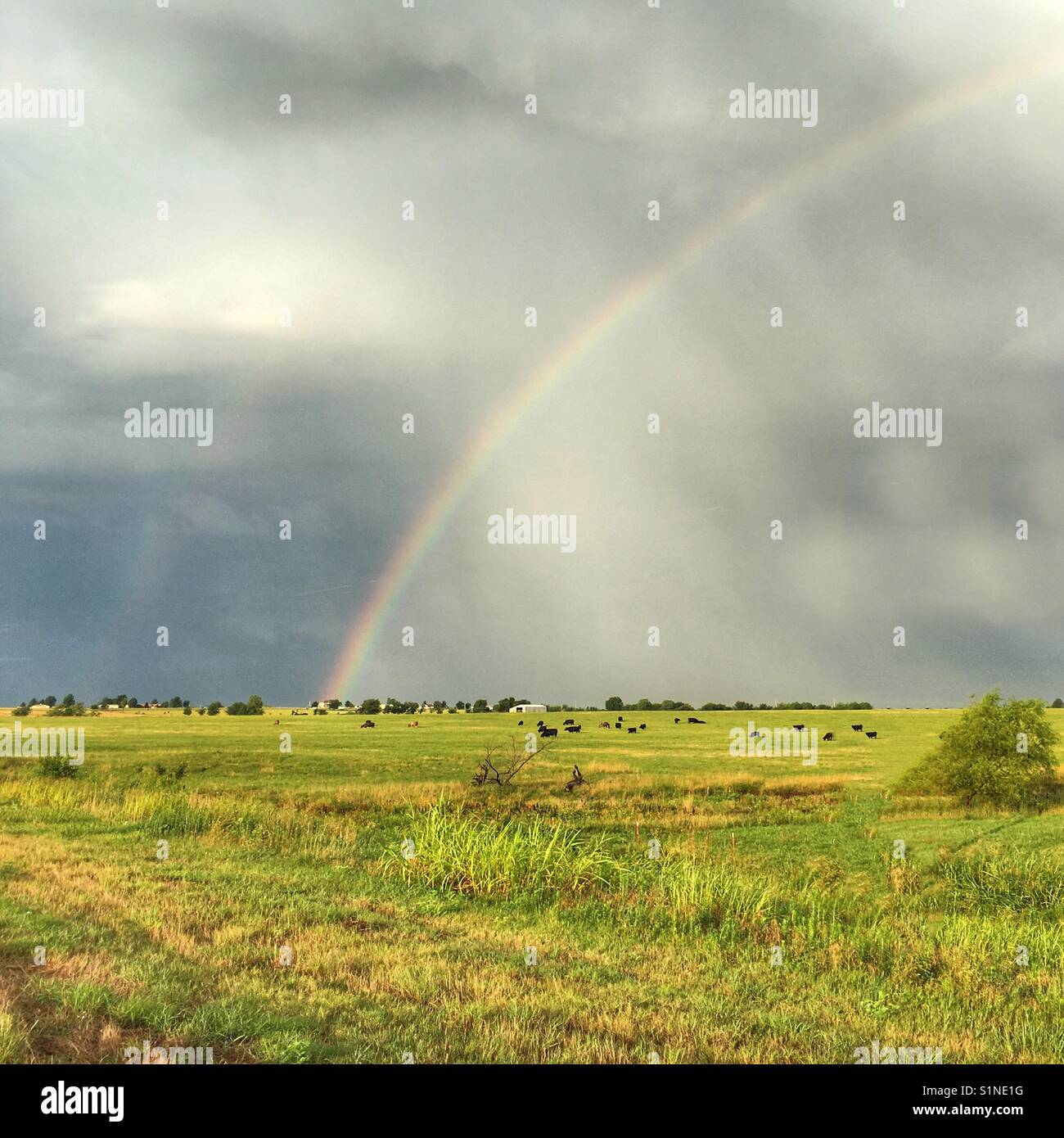 Rainbow ranch hi-res stock photography and images - Alamy