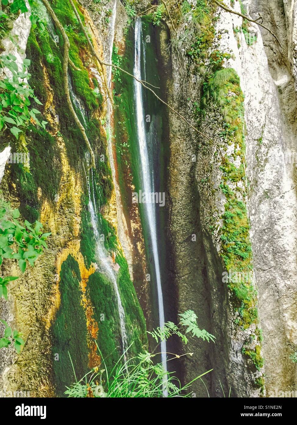 Hidden nature hi-res stock photography and images - Alamy