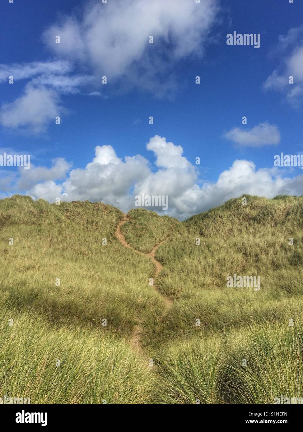 Pathway through sand hi-res stock photography and images - Alamy