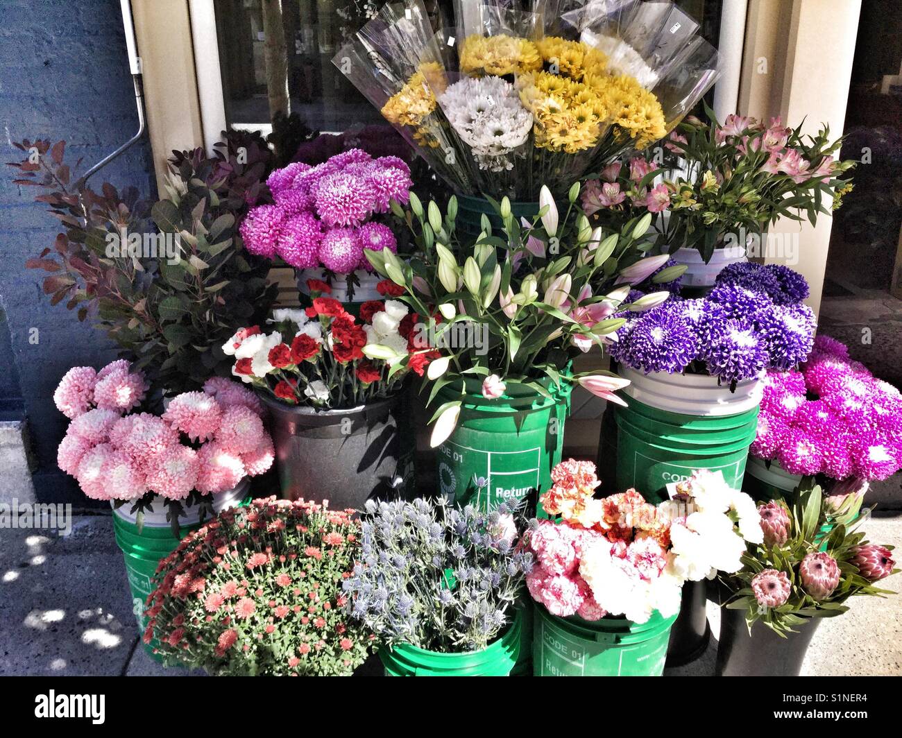 Beautiful selection of flowers Stock Photo - Alamy