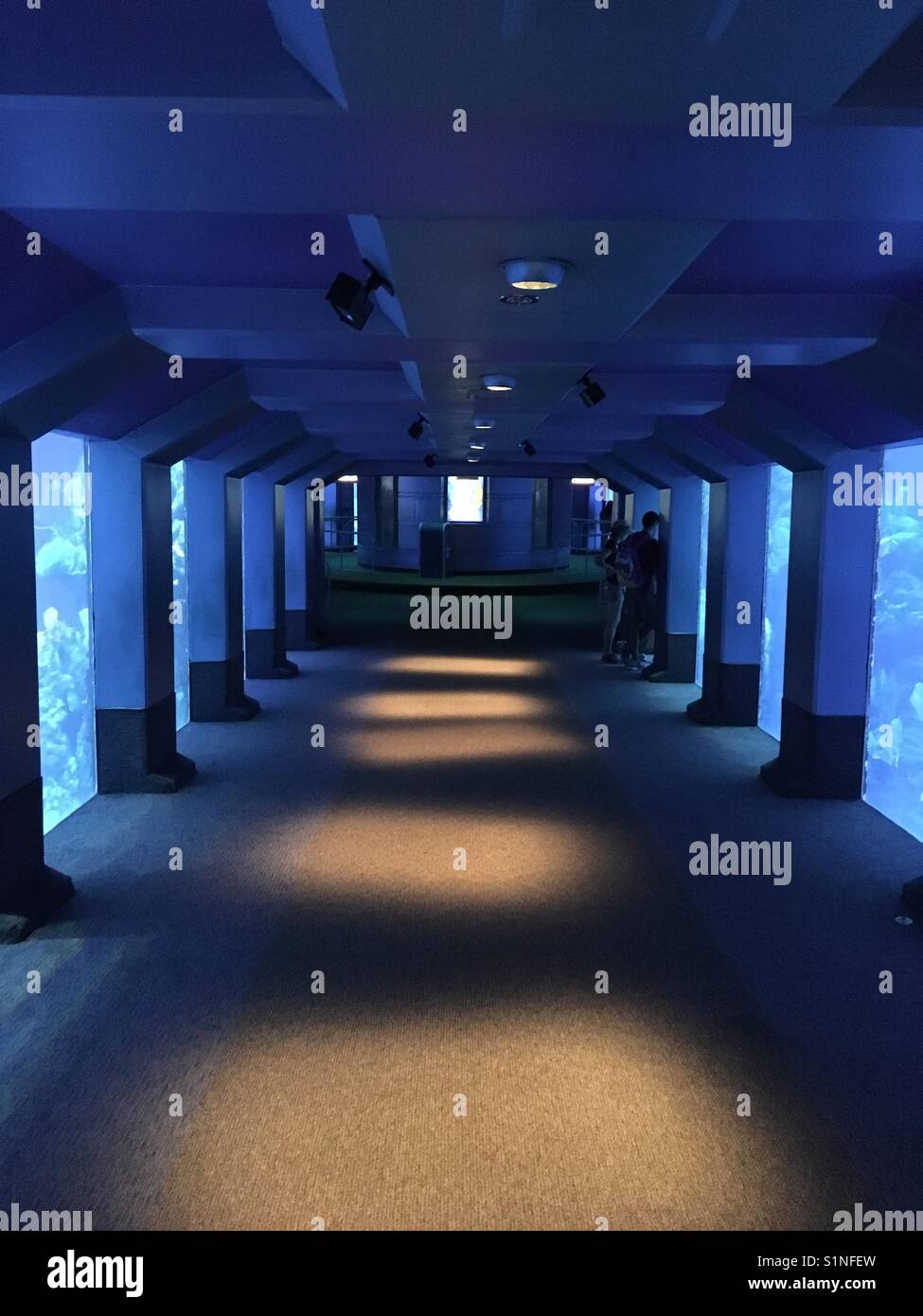 An underwater corridor at Disney World Stock Photo - Alamy