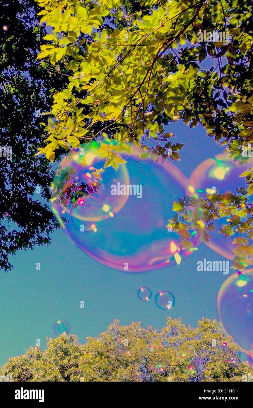 Colored soap bubbles up through the trees Stock Photo - Alamy