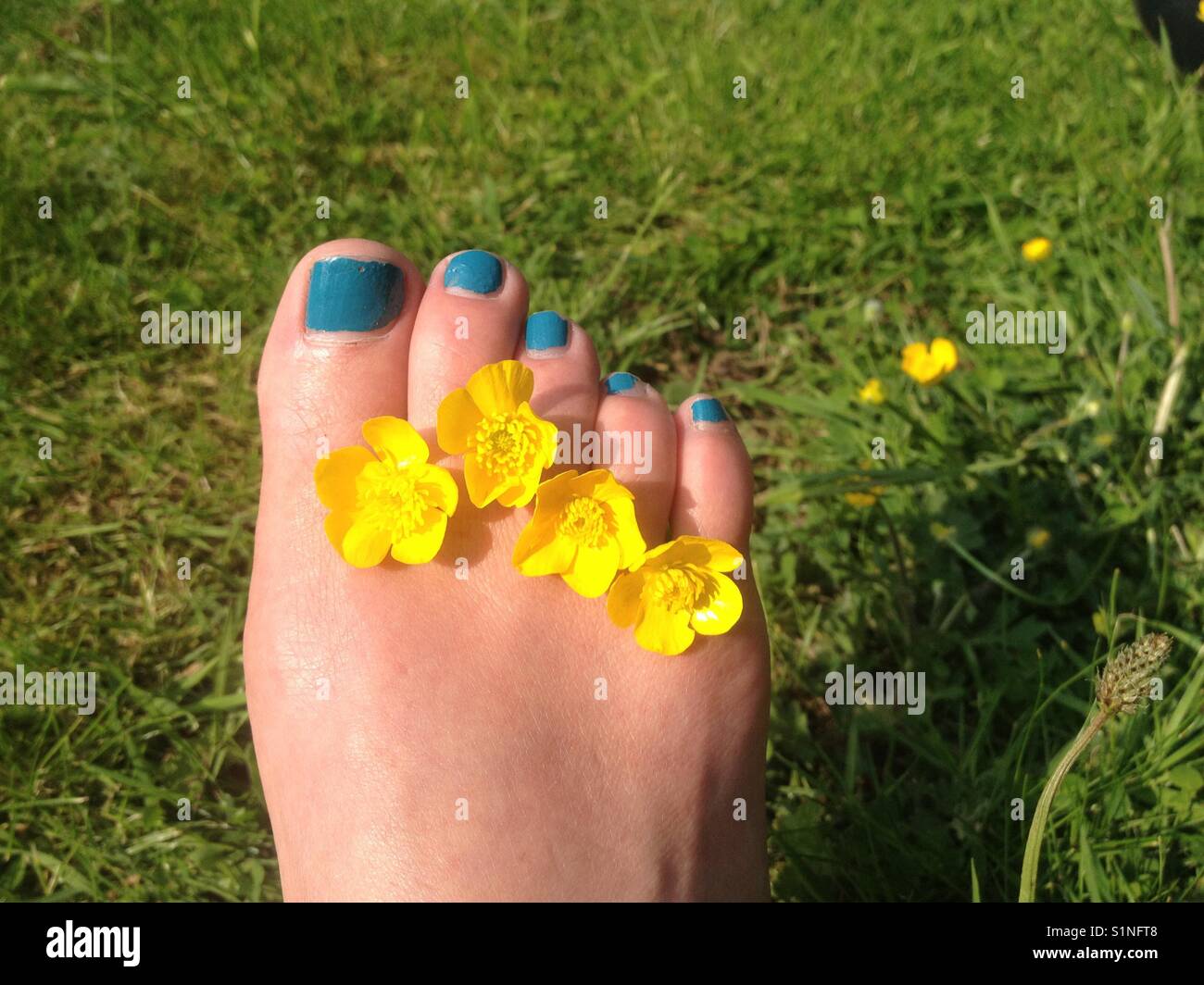 Blue Nail Polish Stock Photos & Blue Nail Polish Stock Images - Alamy