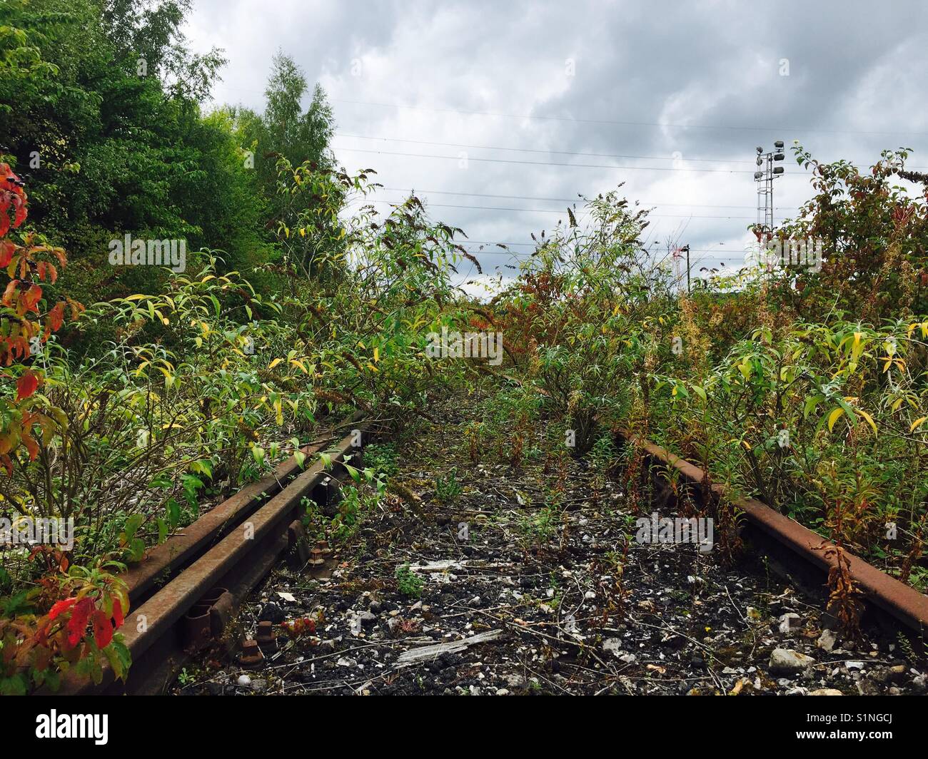 Disappearing Train Tracks Stock Photo - Alamy
