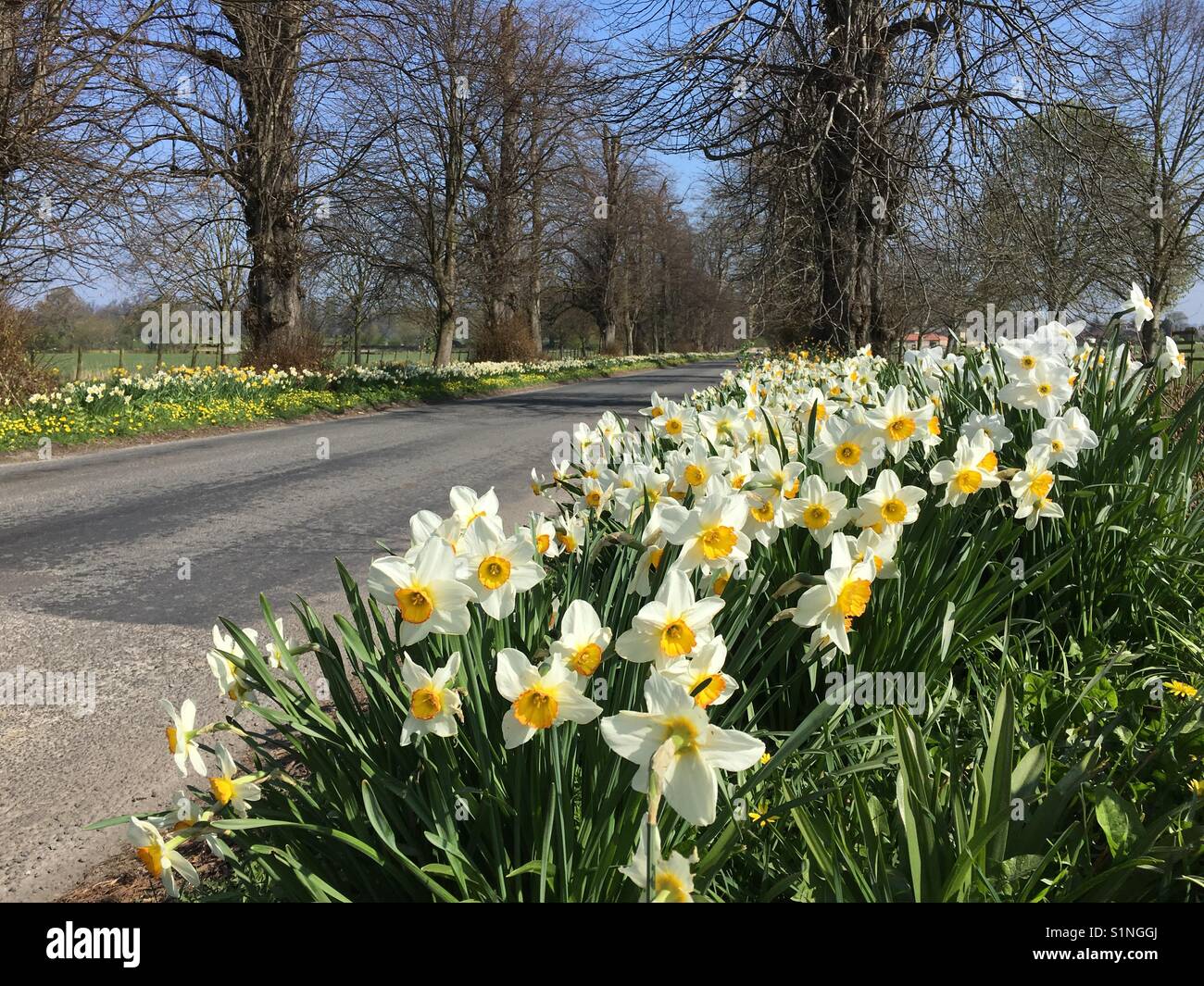 Snape north yorkshire hi-res stock photography and images - Alamy