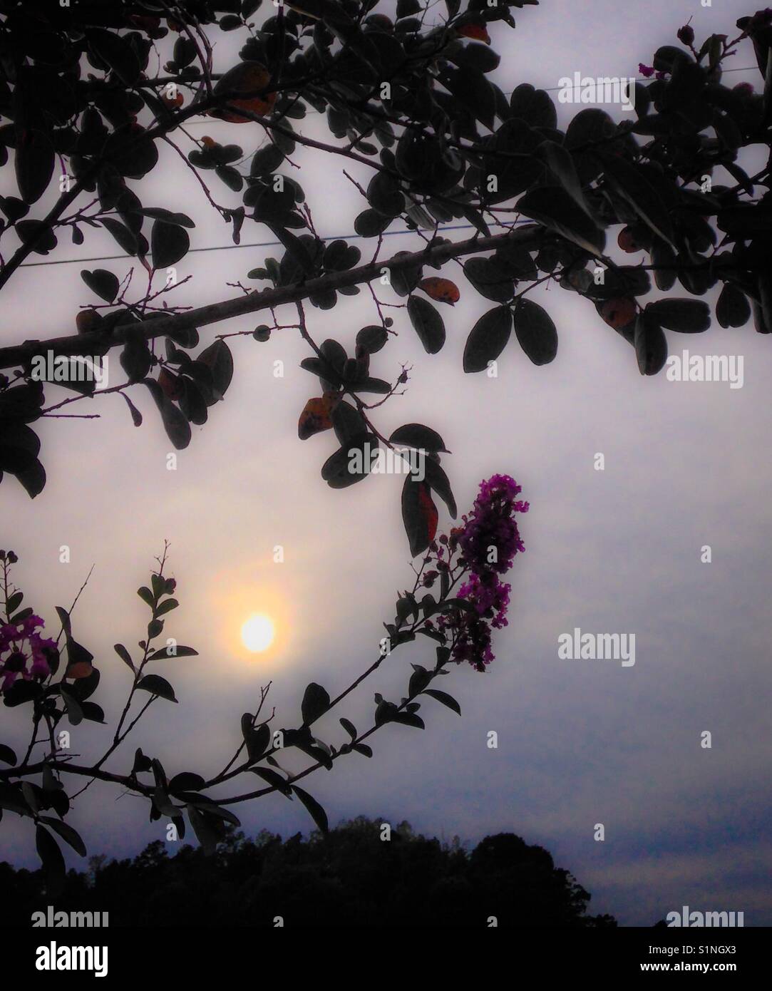 Hazy sun in North Carolina sky Stock Photo - Alamy