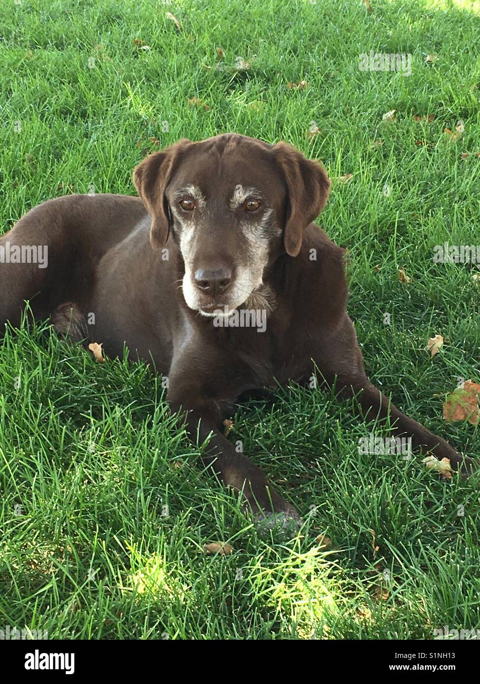 Iphone alert hi-res stock photography and images - Alamy