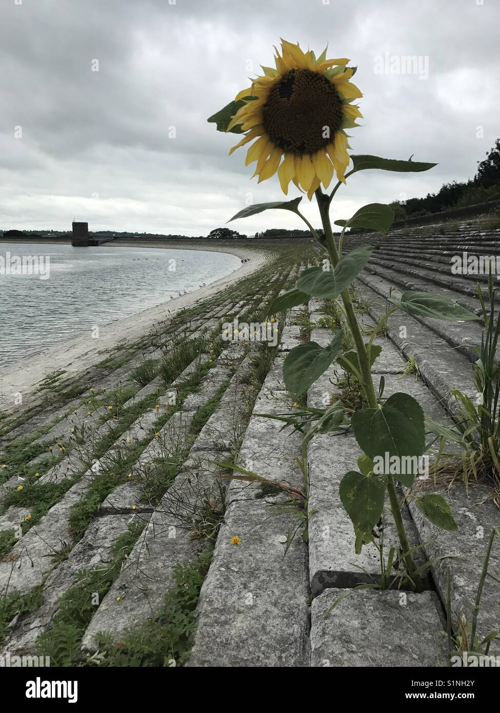 Cheddar reservoir hi-res stock photography and images - Alamy