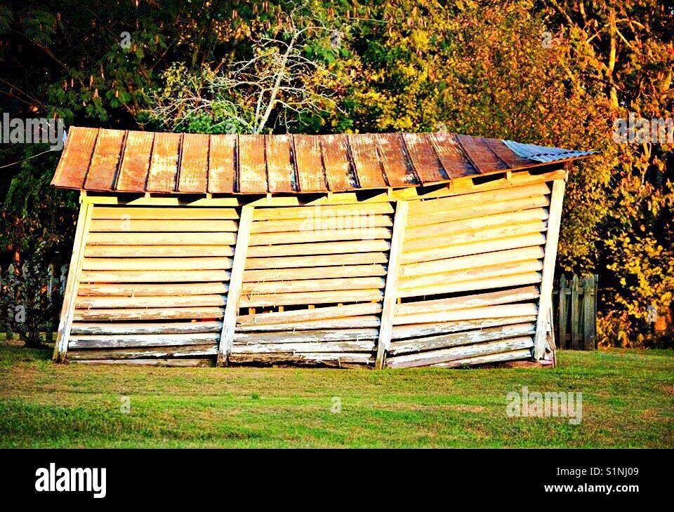 Sideways trees hi-res stock photography and images - Alamy