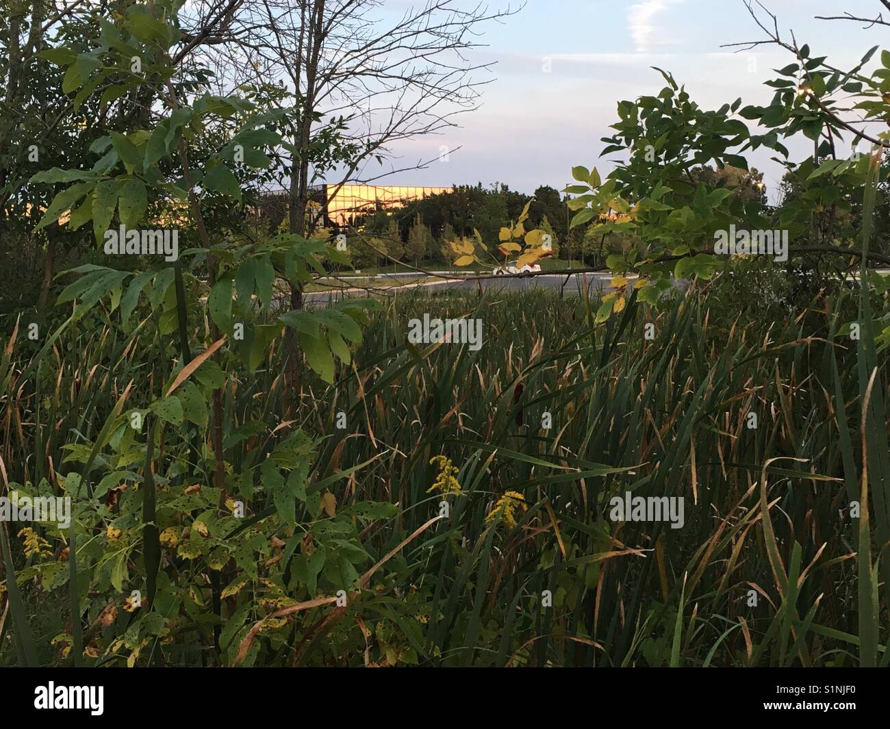 Plants preserve hi-res stock photography and images - Alamy