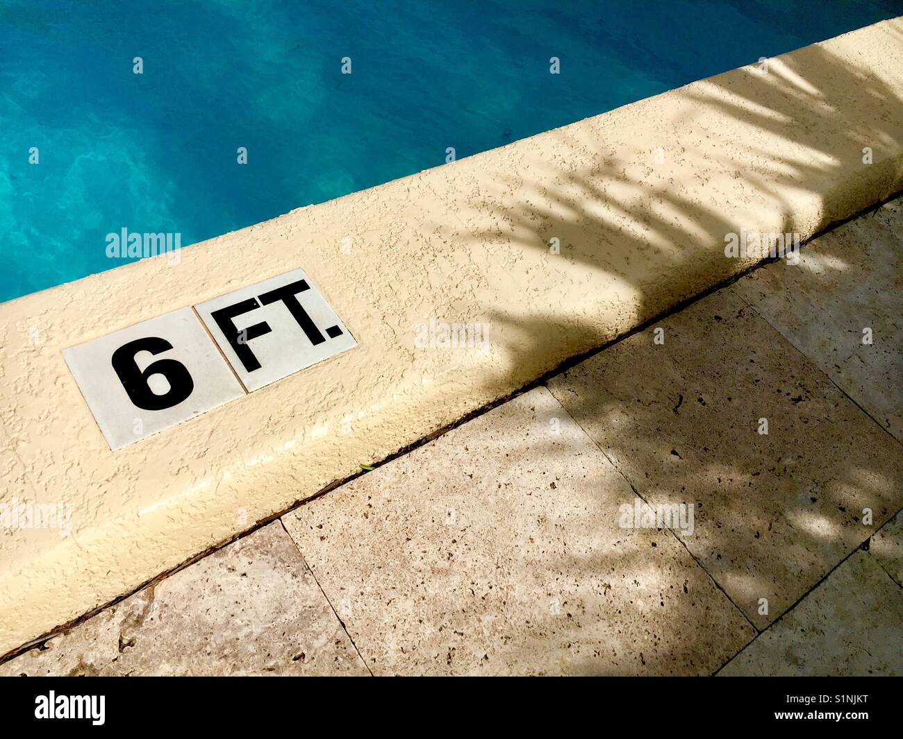 Swimming pool palms Stock Photo - Alamy