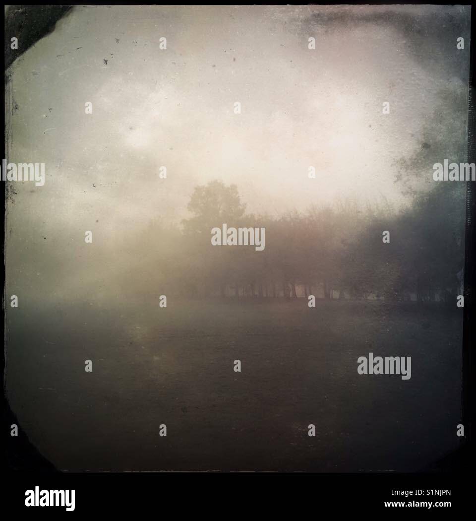 Greenwich park fog hi-res stock photography and images - Alamy