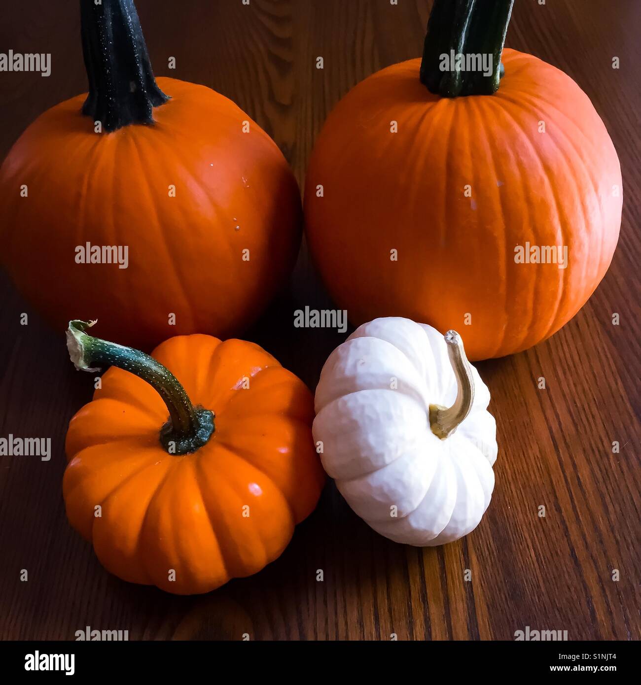 Group of pumpkins Stock Photo - Alamy