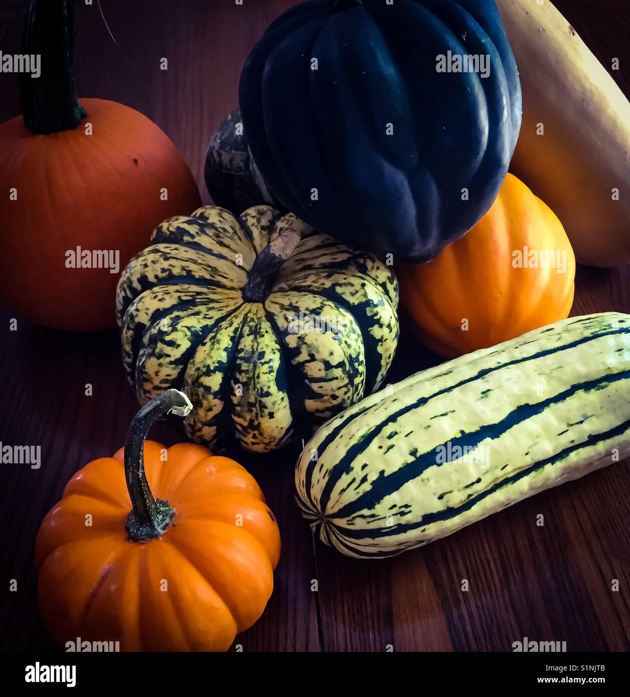 Celebration squash hi-res stock photography and images - Alamy