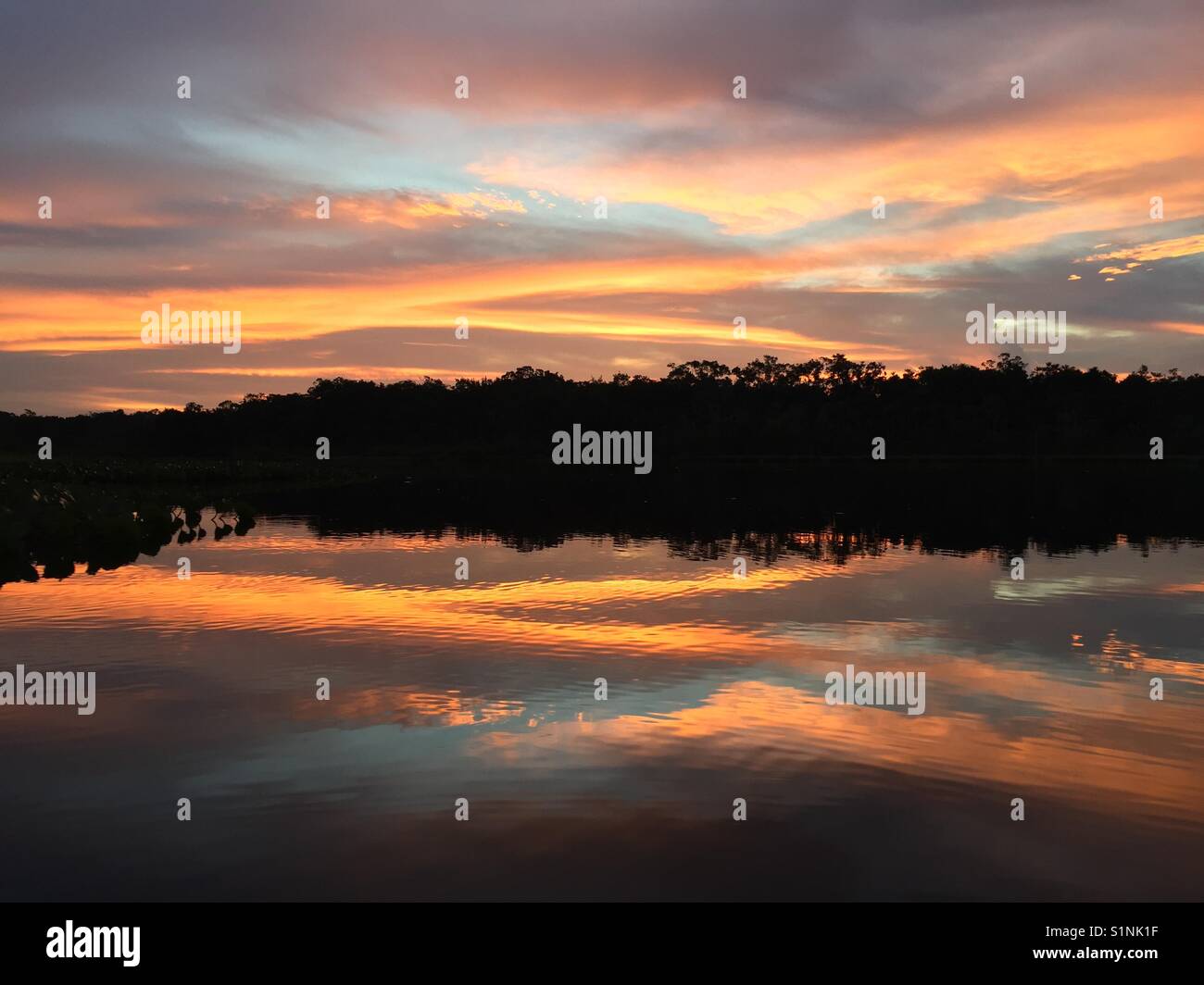 Amazon rainforest sunset hi-res stock photography and images - Alamy