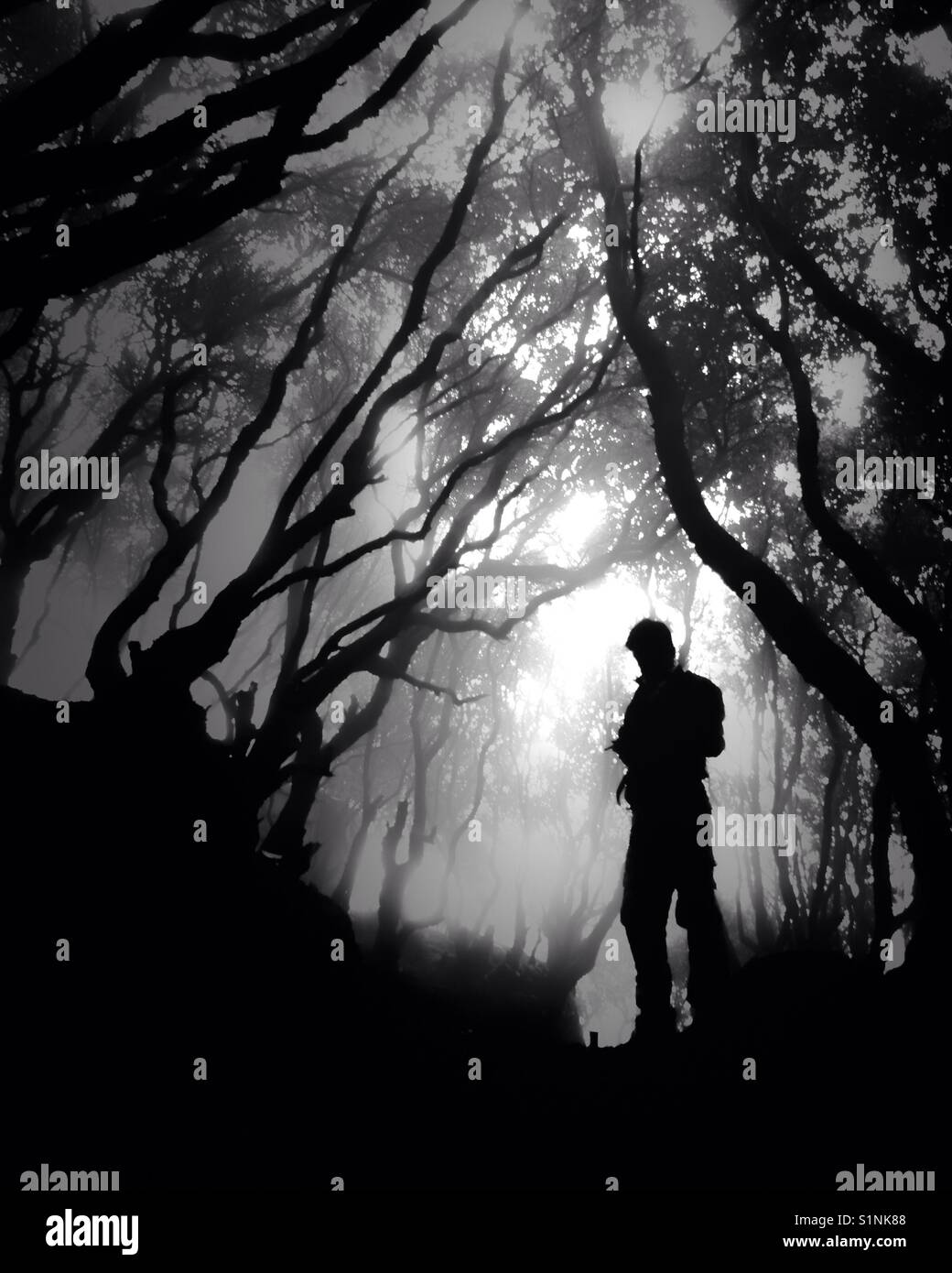 Man forrest hi-res stock photography and images - Alamy