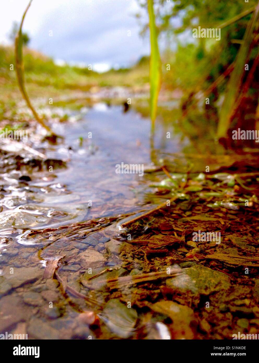 Water puddle in driveway after rain shower with blue sky and ...