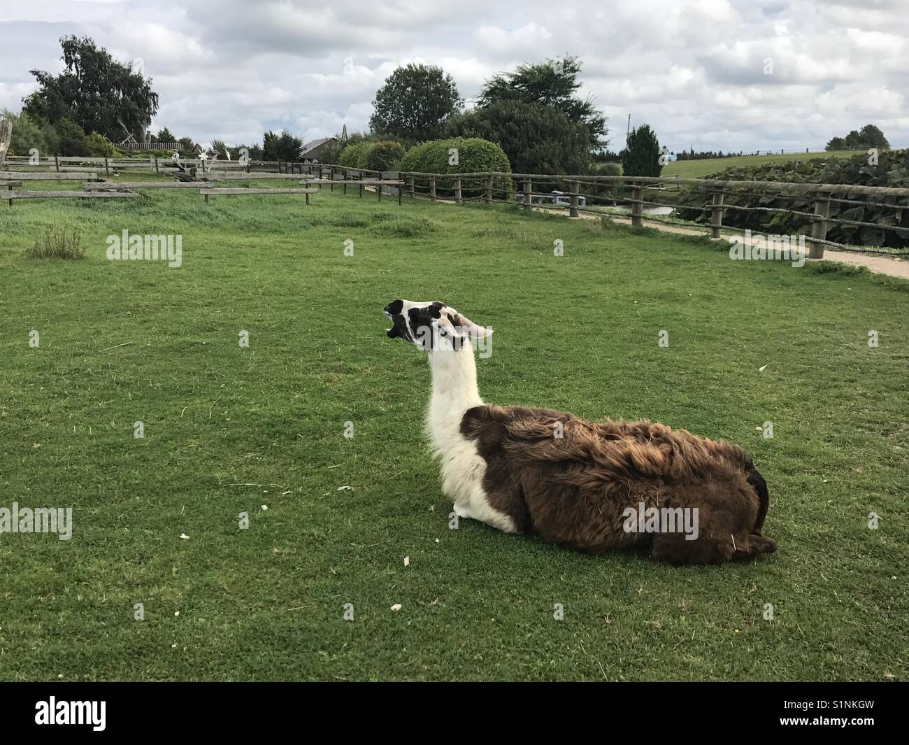 To leave alone hi-res stock photography and images - Alamy