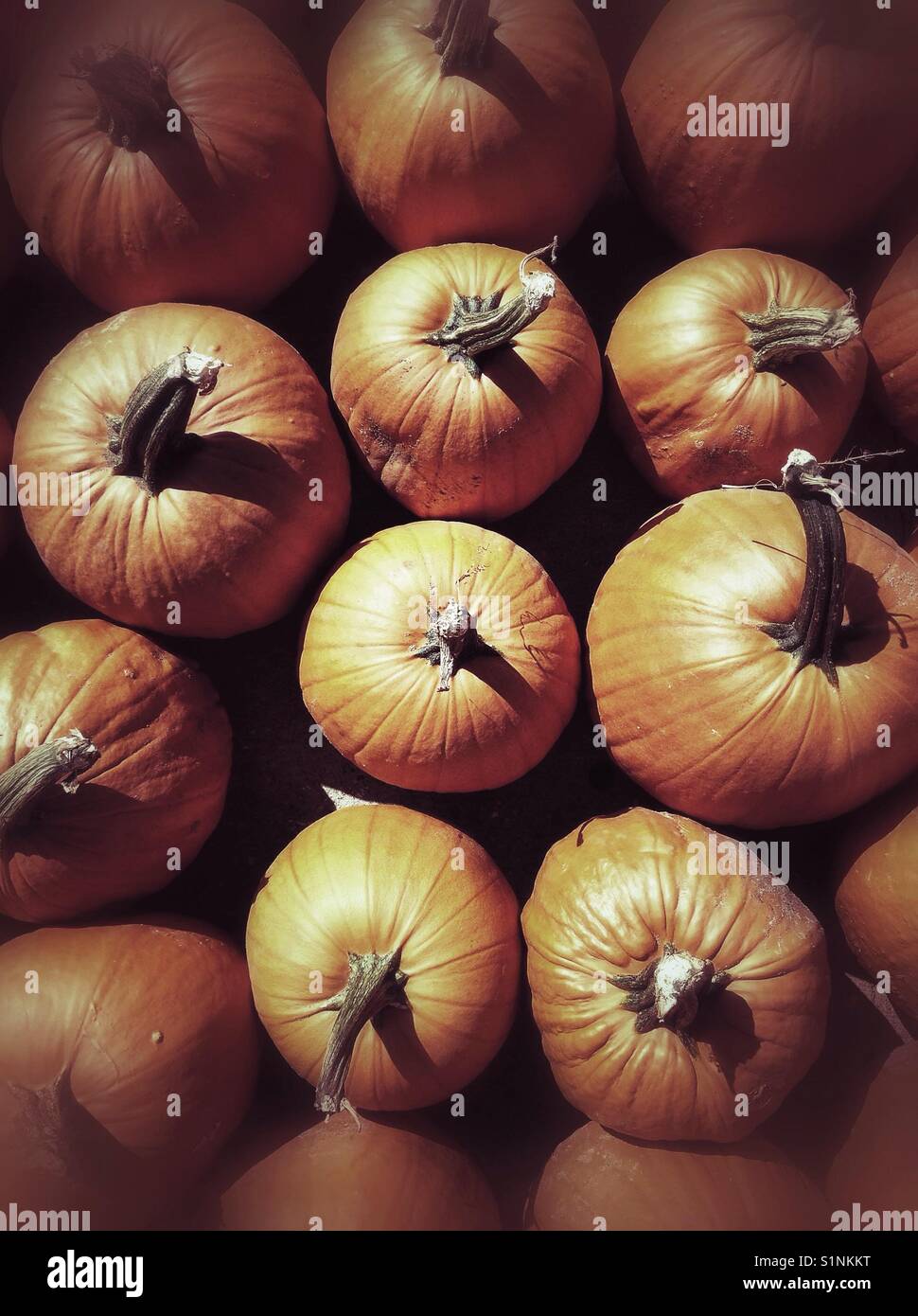 Rotten pumpkins hi-res stock photography and images - Alamy