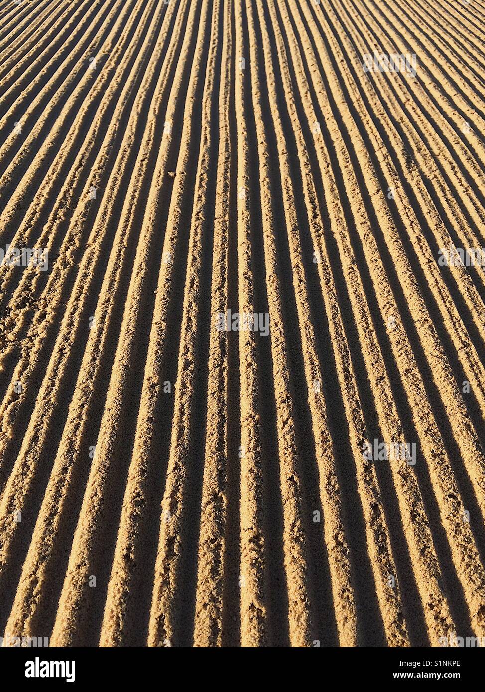 Straight lines in nature hi-res stock photography and images - Alamy