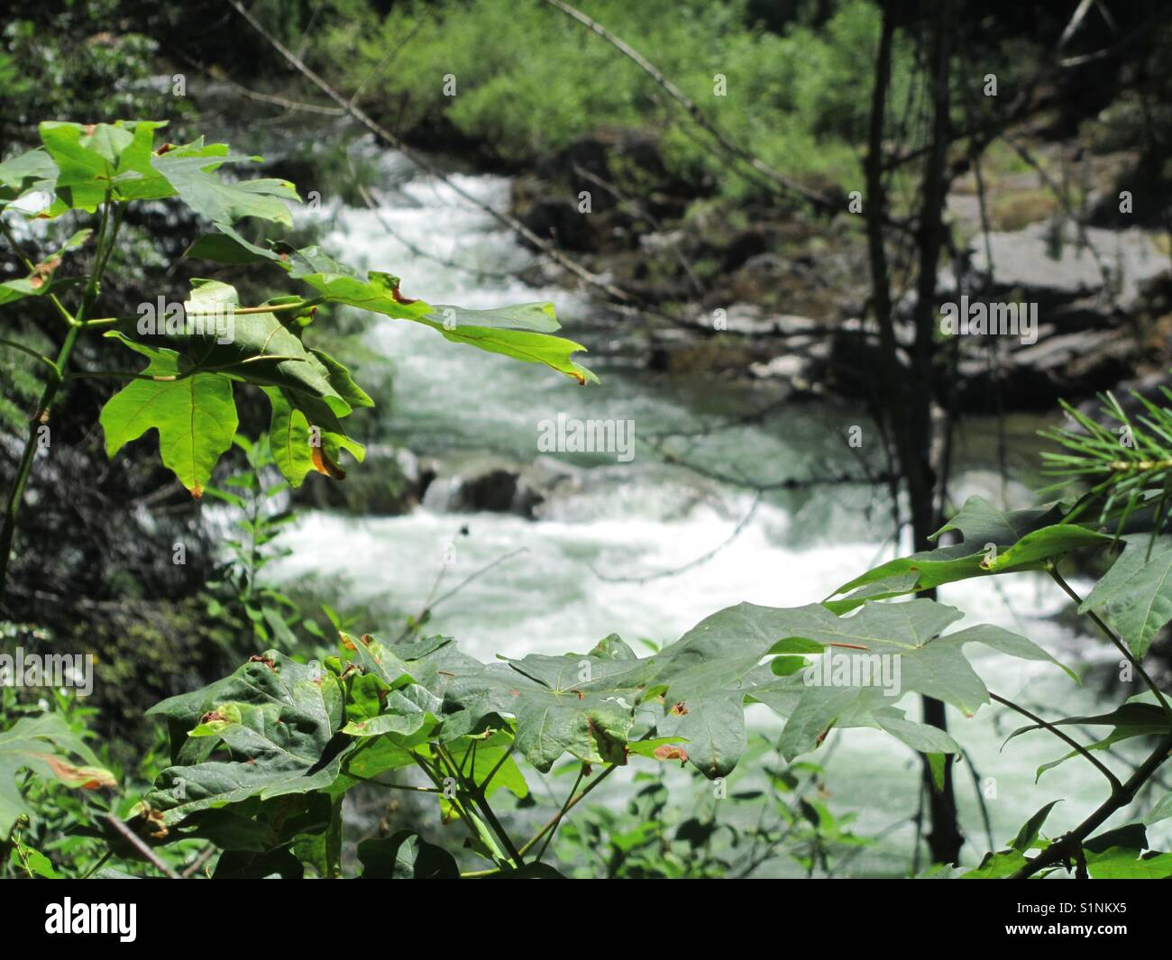 Stream backdrop hi-res stock photography and images - Alamy