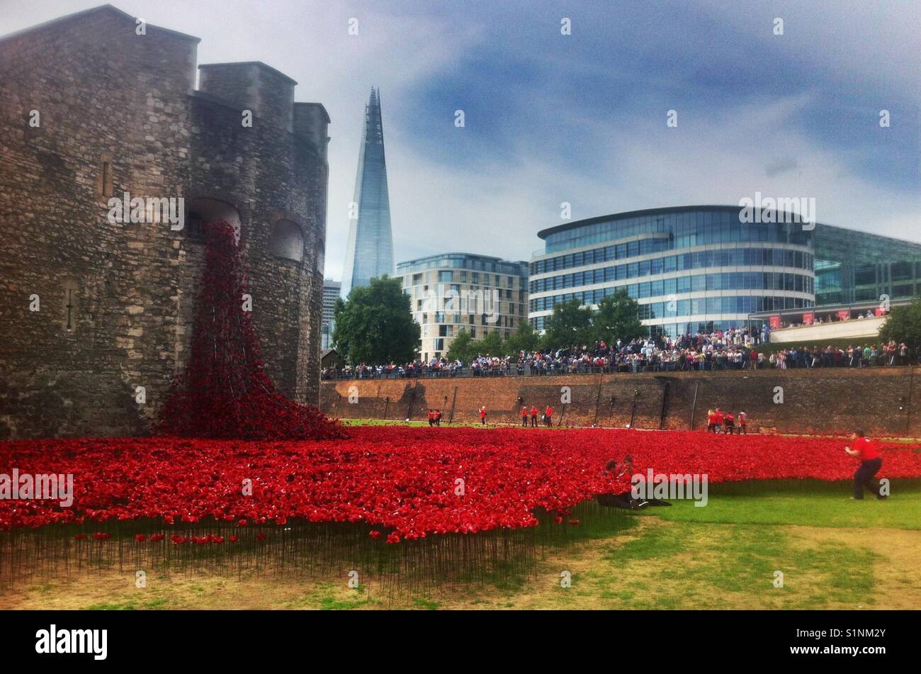 Poppies at the Tower of London Stock Photo - Alamy